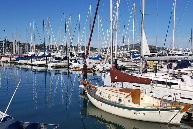 Alcatraz with Muir Woods and Sausalito Tour - Practical Aspects & Value for Money