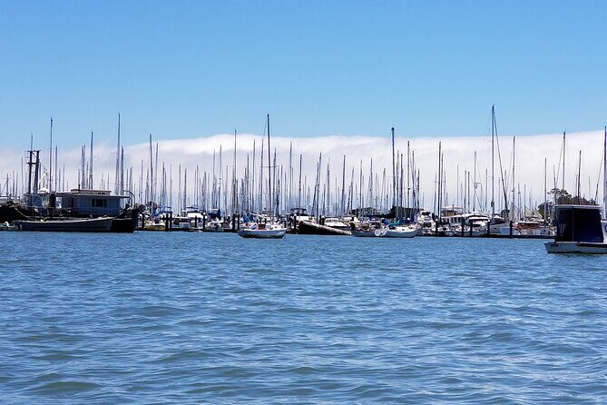 Alcatraz with Muir Woods and Sausalito Tour - Who Should Consider This Tour?