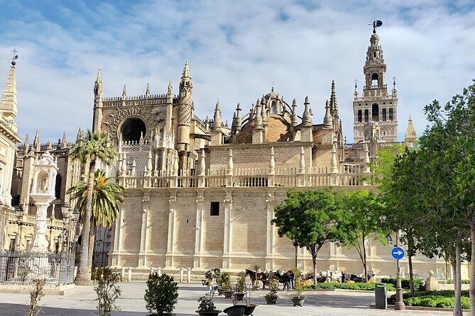 Alcazar and Cathedral, the must-sees, private tour. - Who Will Love This Tour?