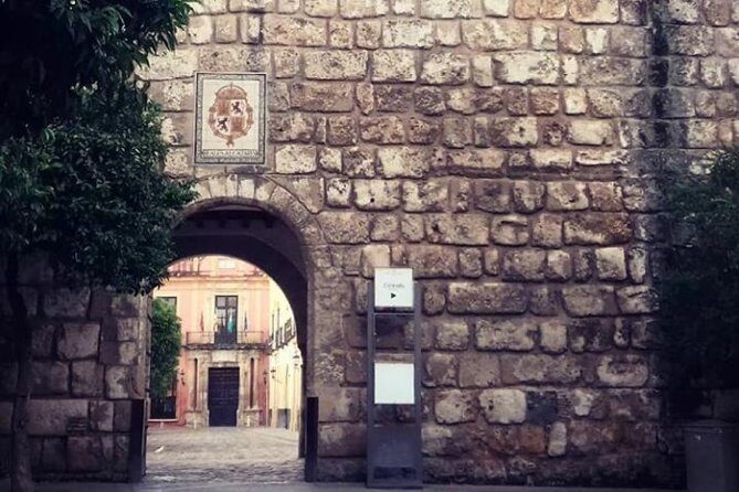 Alcazar, Cathedral And Santa Cruz Private Tour - A Closer Look at the Itinerary