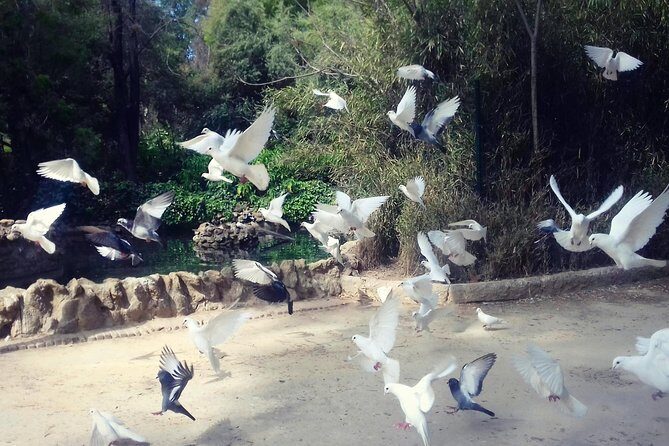 Alcazar, Cathedral, Plaza De España And Maria Luisa Park Private Tour - What Travelers Say