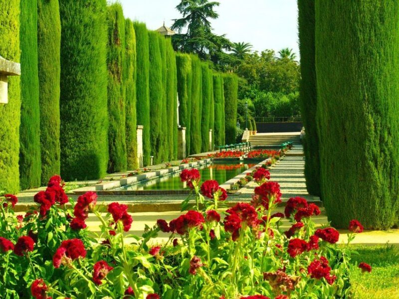 Alcazar of Cordoba Entry Ticket and Guided Tour - Key Points