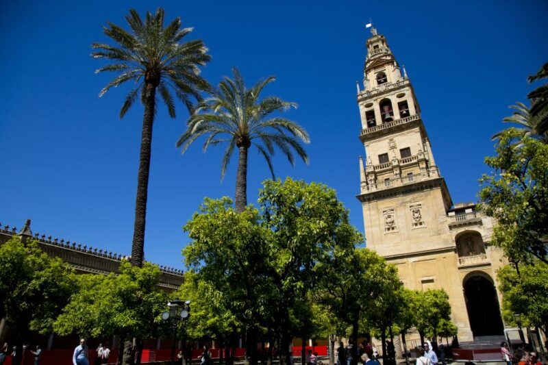 Alcazar of Cordoba Entry Ticket and Guided Tour - Introduction to the Alcazar of Cordoba Tour