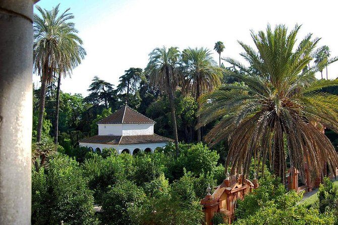 Alcázar of Seville private tour - What’s the Experience Like?