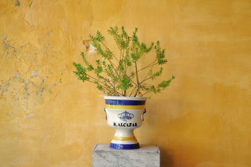 Alcázar of Seville Skip-the-Line Tickets and Guided Tour - Highlights Drawn from Traveller Feedback