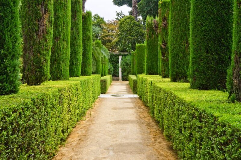 Alcazar of Seville VIP Tour - Key Points