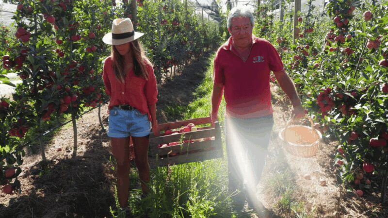 Alcobaça: Visit to the Lemos Figueiredo Winery and Distillery - The Value and Practicalities