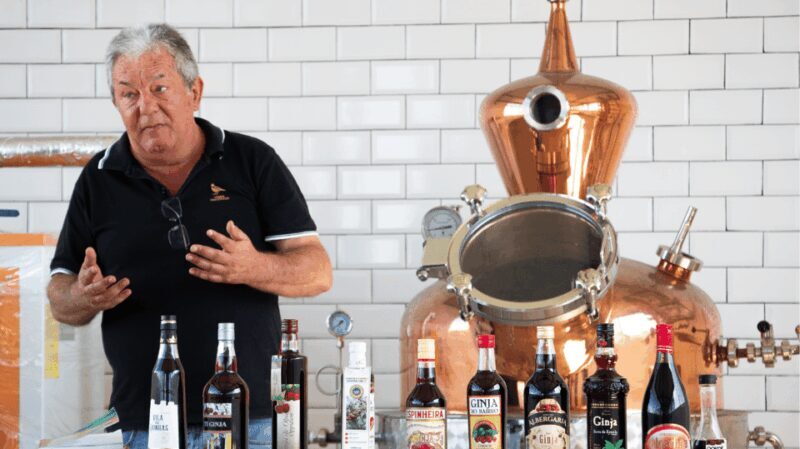 Alcobaça: Visit to the Lemos Figueiredo Winery and Distillery - Who Should Consider This Tour?