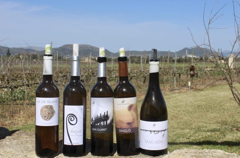 Alcúdia/Can Picafort: Guided Vineyard Visit and Wine Tasting - Authenticity and Quality of the Experience