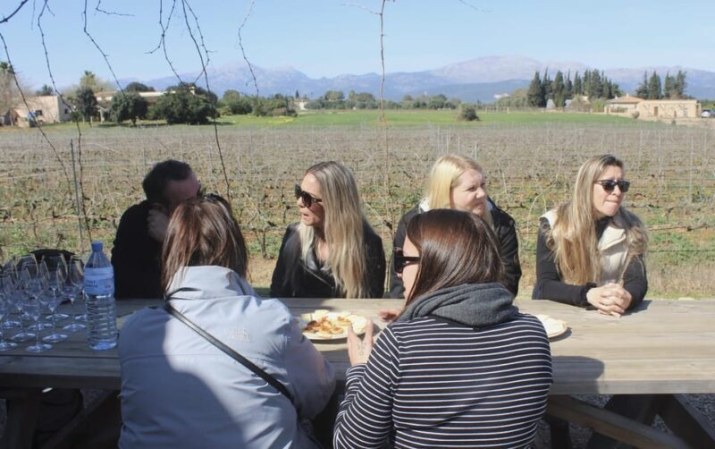 Alcúdia/Can Picafort: Guided Vineyard Visit and Wine Tasting - Pricing and Overall Value