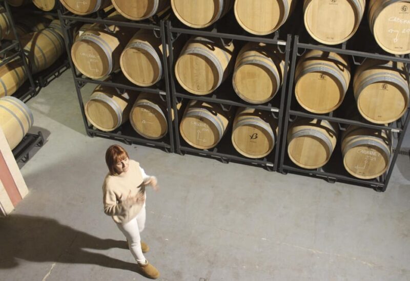 Alcúdia/Can Picafort: Guided Vineyard Visit and Wine Tasting - The Sum Up