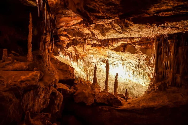 Alcudia: Caves of Drach Tour from the North with Boat Trip - Key Points