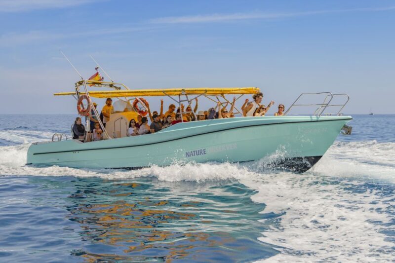 Alcudia: Coll Baix Beach & Sea Caves Cruise with Snorkeling - Starting Point: Easy Hotel Pickup