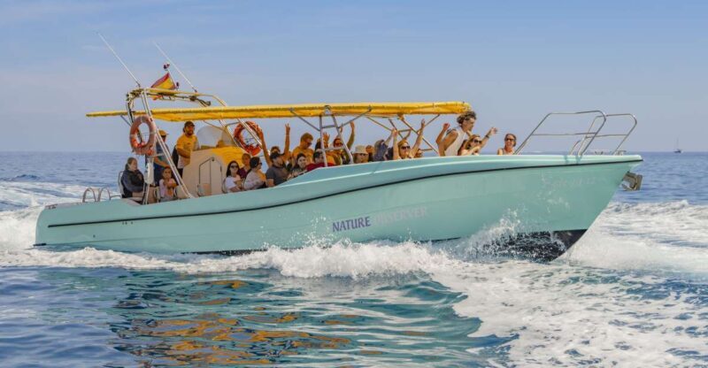 Alcudia: Coll Baix Beach & Sea Caves Cruise with Snorkeling - Coll Baix Beach: The Quiet Gem