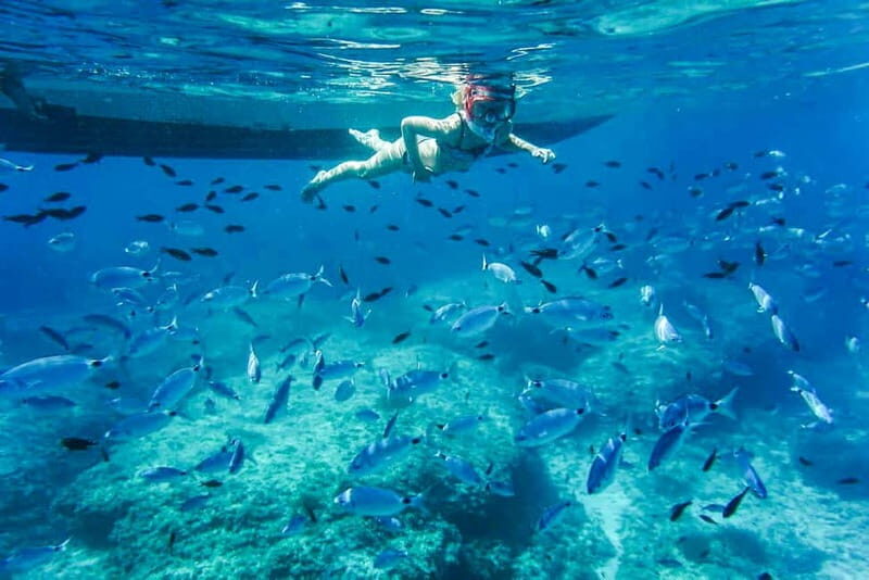 Alcudia: Formentor Beach, Lighthouse Cruise, and Small Group - Starting Point and Convenience