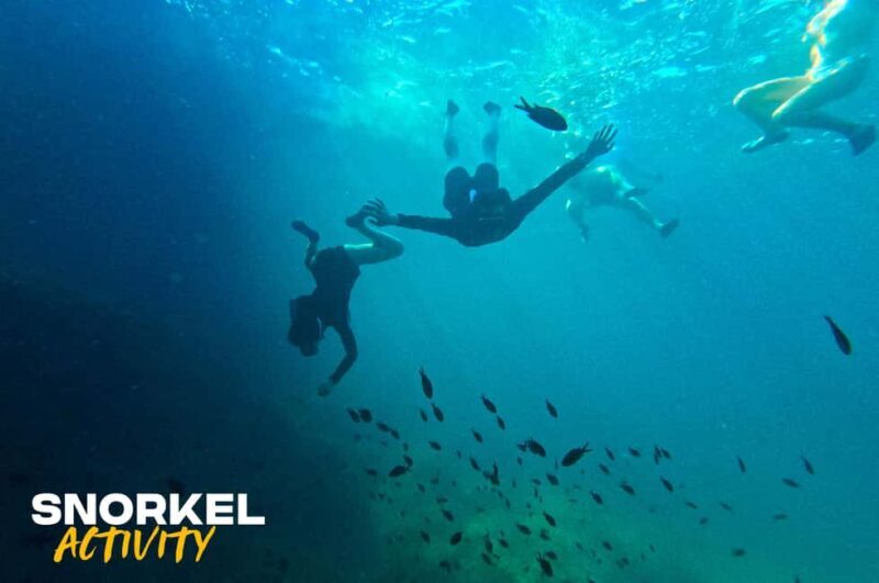 Alcudia: Kayaking Tour with Snorkel & Sea Cave Swim - A Detailed Look at the Experience