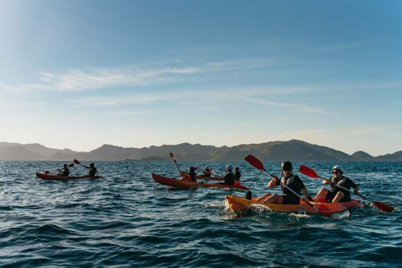 Alcudia: Kayaking Tour with Snorkel & Sea Cave Swim - Practical Tips for Travelers