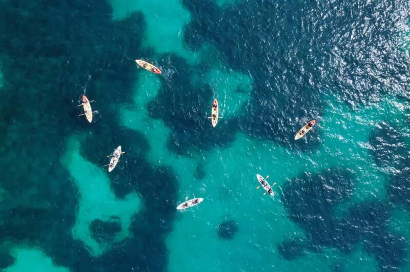 Alcudia: Kayaking Tour with Snorkel & Sea Cave Swim - FAQ