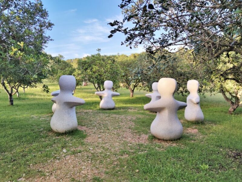 Alcudia: Museum Sa Bassa Blanca Entry Ticket - Exploring Museum Sa Bassa Blanca: A Blend of Art and Nature