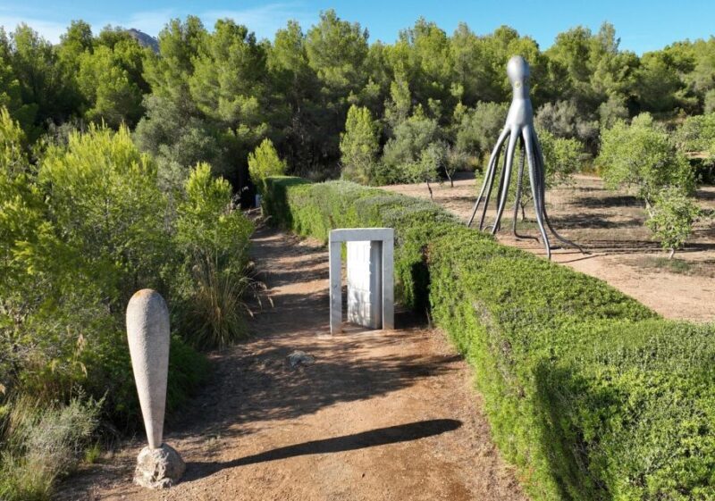 Alcudia: Museum Sa Bassa Blanca Entry Ticket - Final Thoughts