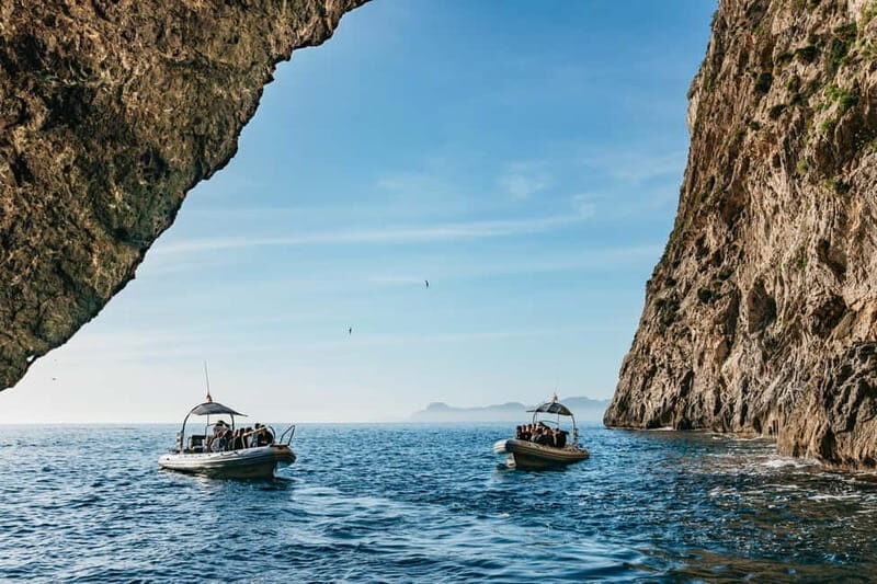 Alcudia or Can Picafort: Dolphin-Watching Cruise - Key Points