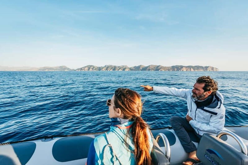 Alcudia or Can Picafort: Dolphin-Watching Cruise - Setting Out: From Alcudia or Can Picafort