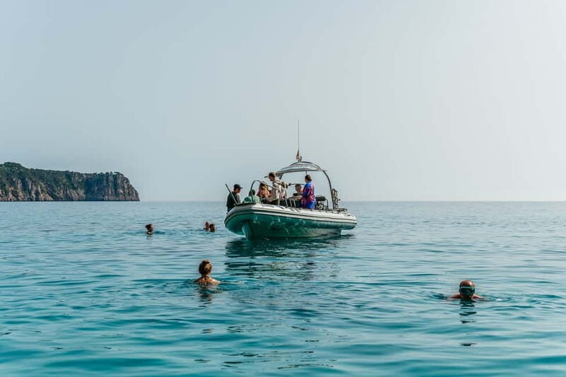 Alcudia or Can Picafort: Dolphin-Watching Cruise - The Return Journey