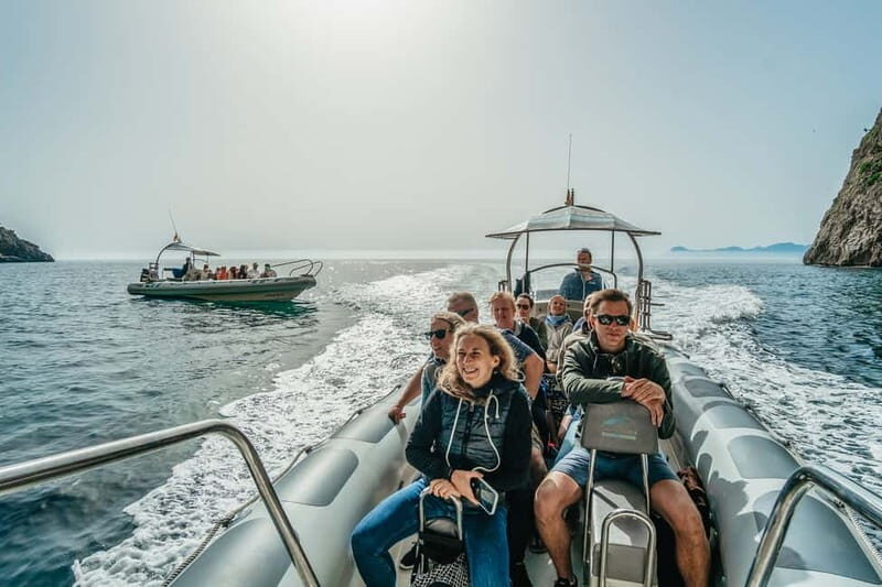 Alcudia or Can Picafort: Dolphin-Watching Cruise - Authentic Encounters and Reviews