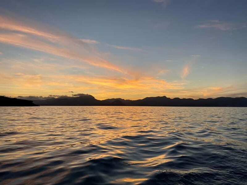 Alcudia, Private Tour: Scenic 2.5-Hour Boat Tour - What are the reviews telling us?