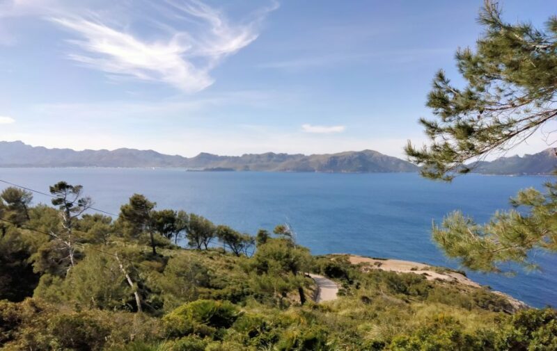 Alcudia: Quad Sightseeing Tour with Viewpoints - An In-Depth Look at the Quad Sightseeing Tour