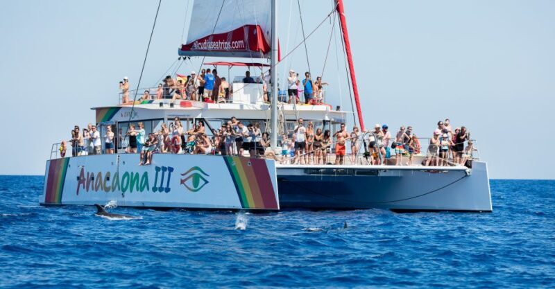 Alcudia: Sunset Catamaran Tour with Dinner and Snorkeling - Alcudia: Sunset Catamaran Tour with Dinner and Snorkeling — A Practical Guide for Travelers