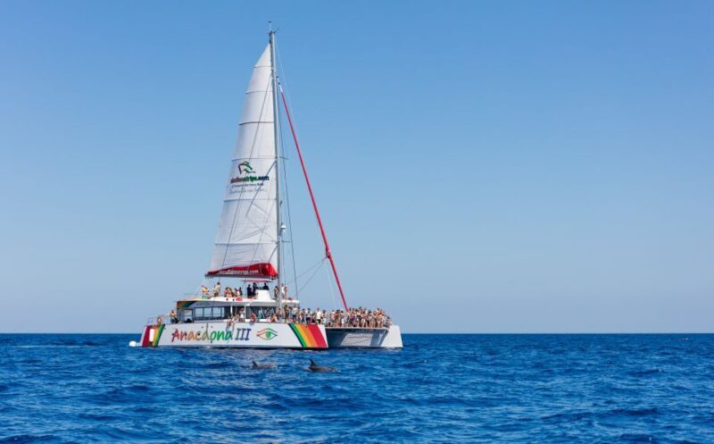 Alcudia: Sunset Catamaran Tour with Dinner and Snorkeling - Key Points