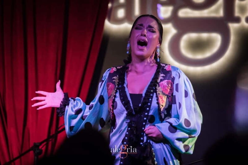 Alegria Flamenco in Malaga, with Transfer, Cocktail and Premium Location - Why This Tour Stands Out