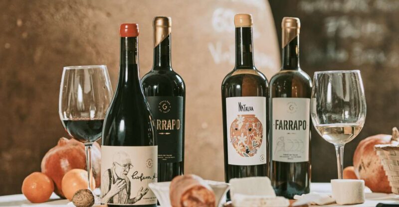Alentejo: Visit and Taste the tradition of Talha Wines - Key Points