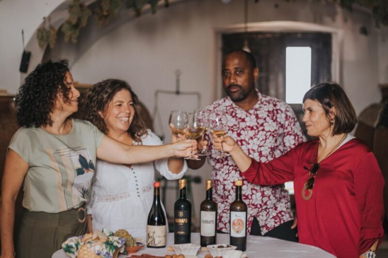 Alentejo: Visit and Taste the tradition of Talha Wines - Practical Details and Value