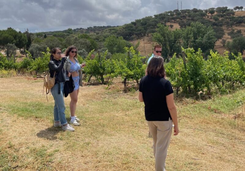 Alentejo Wine from Évora - Key Points