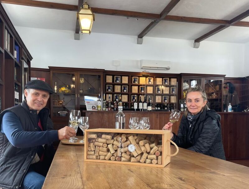 Alentejo Wine from Évora - The Practical Side: Details, Value, and Tips