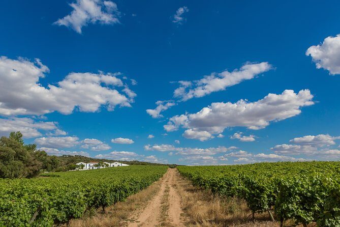 Alentejo Wine Tour from Évora - FAQ