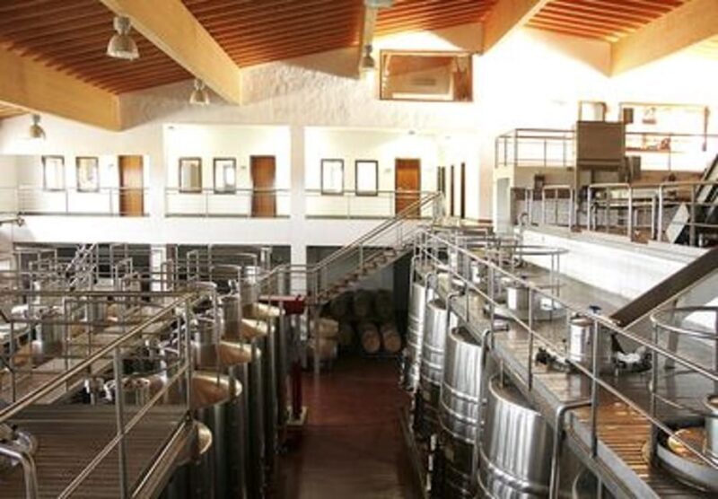 Alentejo Wine Tour from the Algarve - Why Choose This Tour?