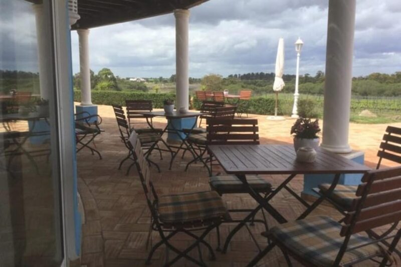 Alentejo Wine Tour from the Algarve - Final Thoughts
