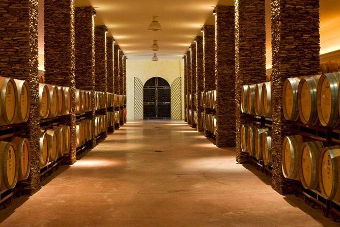 Alentejo Wine Tour from the Algarve - What to Expect During Your Day