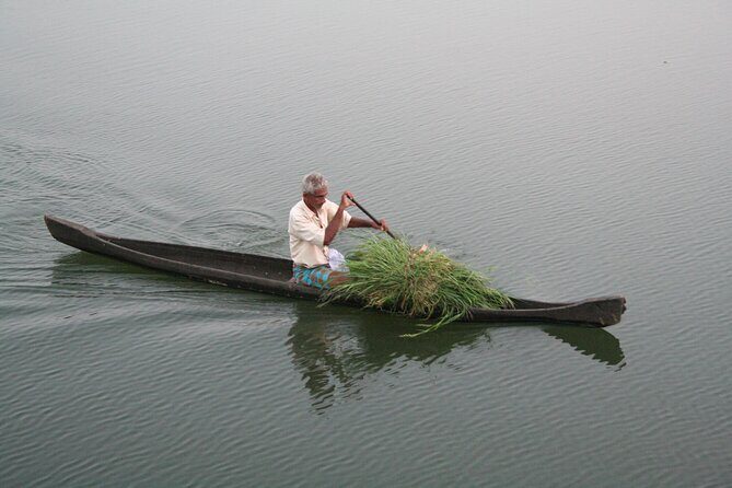 Aleppey House Boat Cruise, Cochin Excursions from Cruise Terminal - An In-Depth Breakdown of the Tour