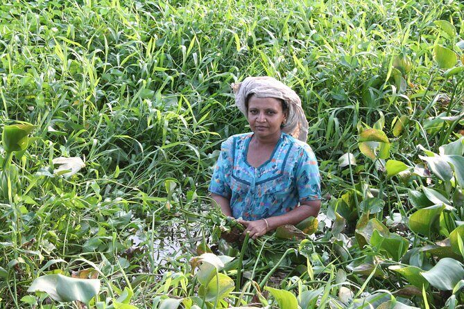 Aleppey House Boat Cruise, Cochin Excursions from Cruise Terminal - Final Thoughts