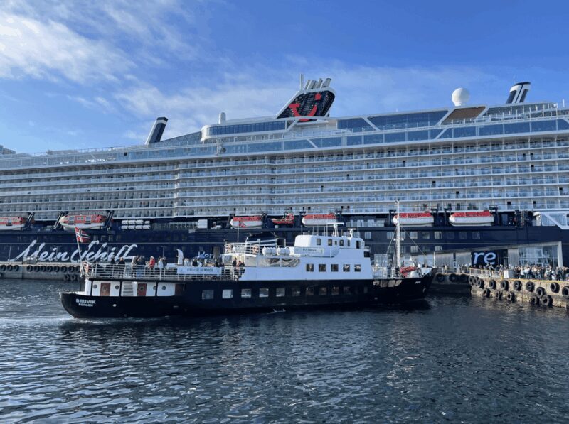 Ålesund: Archipelago Fjord Cruise - An In-Depth Look at the Ålesund Archipelago Fjord Cruise