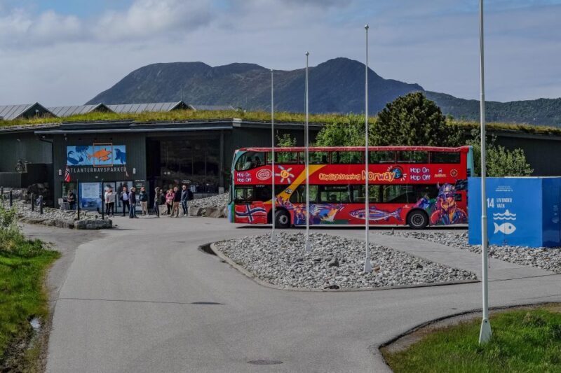 Alesund: City Sightseeing Hop-On Hop-Off Bus Tour - Final Thoughts