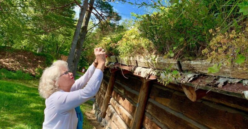 Alesund Heritage Sightseeing Tour - Key Points