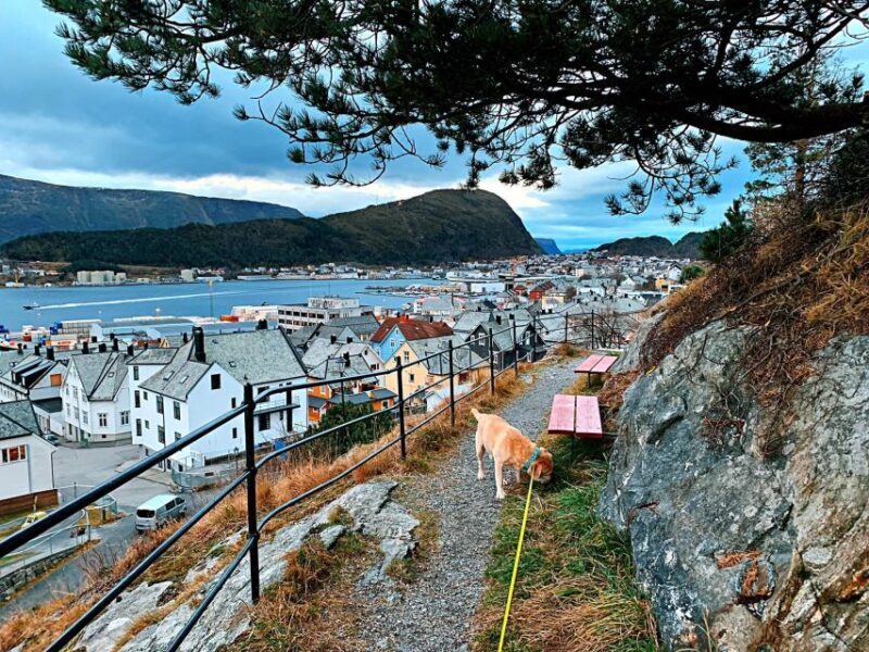 Alesund Private Sightseeing Tour on foot and by car - Frequently Asked Questions