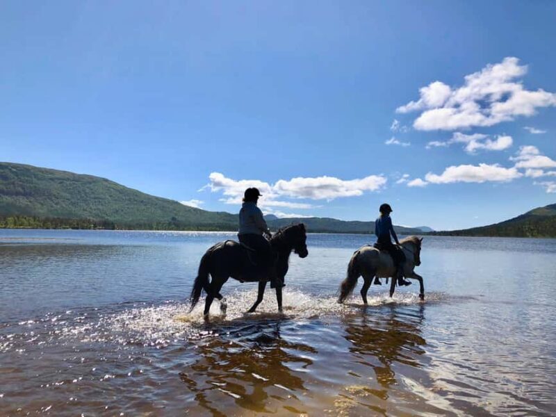 Ålesund: Sunnmøre Horseback Riding Tour with Guide - The Route and Scenery