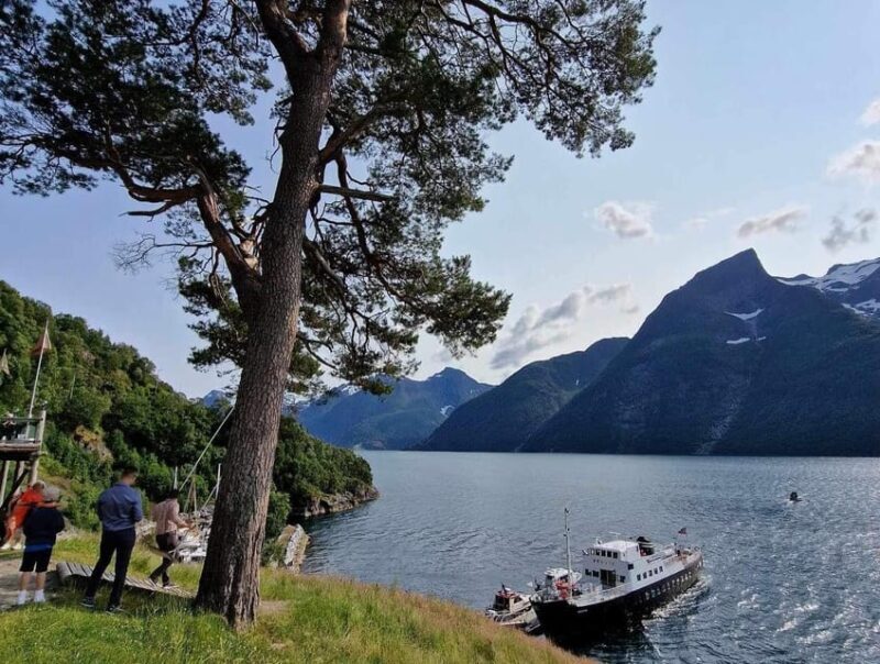 Ålesund-Trandal fjord tour with 3 hours stop at Trandal - Key Points