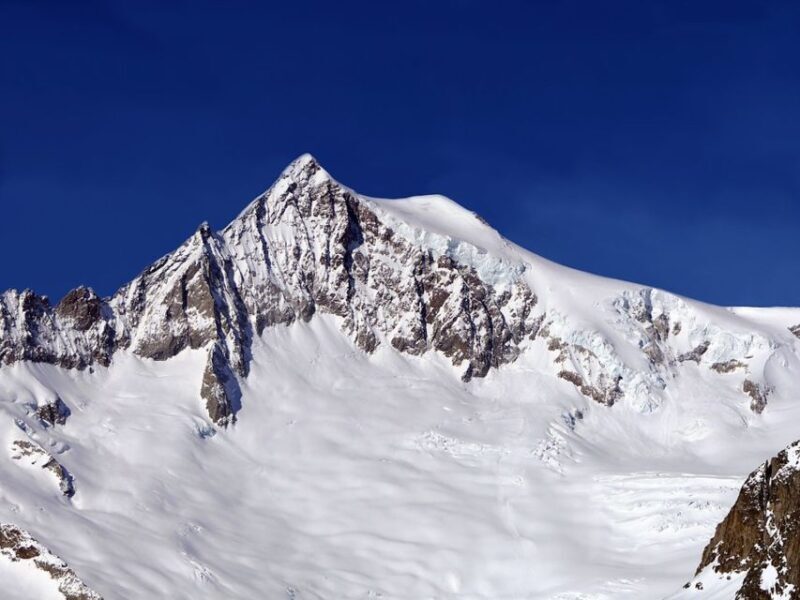 Aletsch Glacier: Round-trip Cable Car Ticket to Eggishorn - Who Should Consider This Tour?